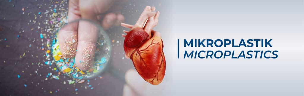 Unraveling the Hidden Connection Between Microplastics and Heart ...